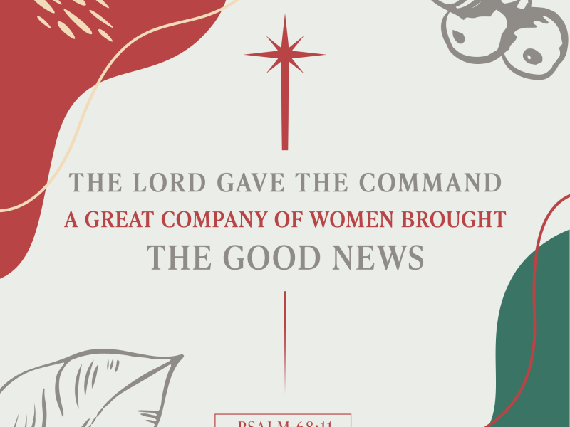 Women of the Good Report by Diane Strack - Contagious Joy